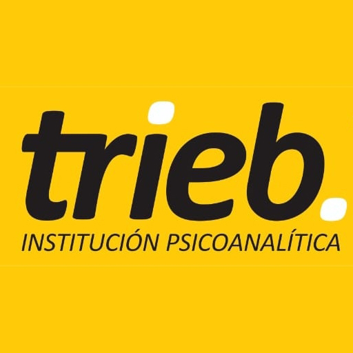 Fiesta 20 Aniversario Trieb – 5 de abril 2025 - TRIEB Institución ...